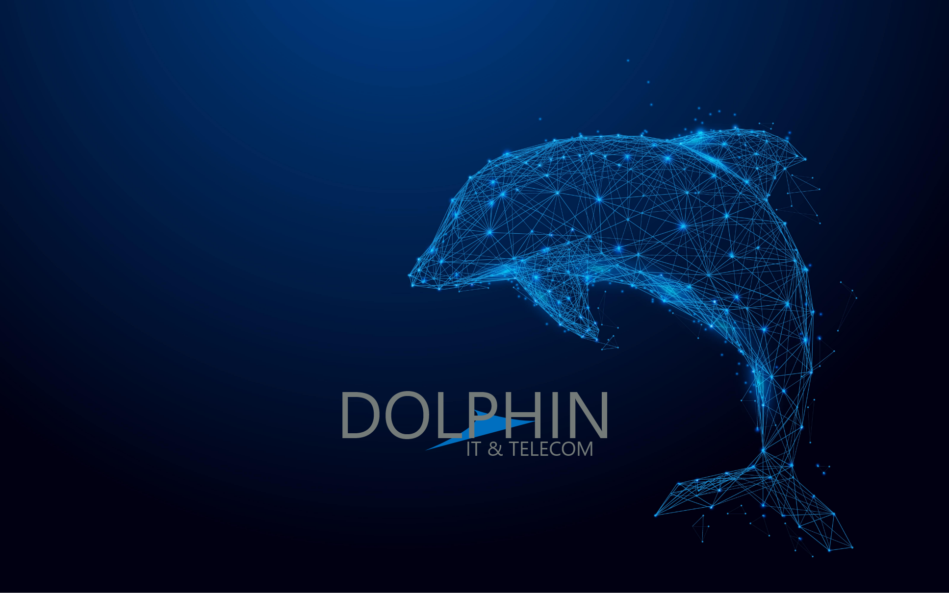 Home [www.dolphintele.net]